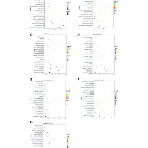 Top 20 Pathways Enriched With Degs By Kegg Pathway Enrichment Analysis