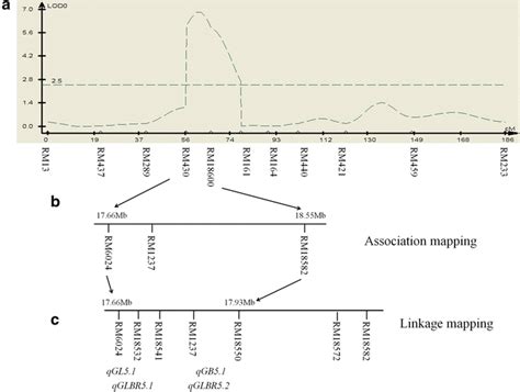 The Qtl Cartographer Picture Of The Grain Size Qtl A Sequential Fine