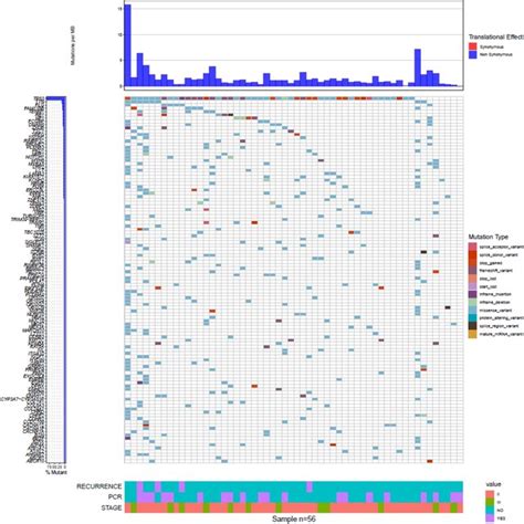 The Mutation Landscape Waterfall Plot Of Genes With A Non Synonymous