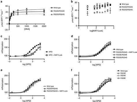 Dna Dependent Atpase Activity And Dna Binding Parameters Of Ctxpd