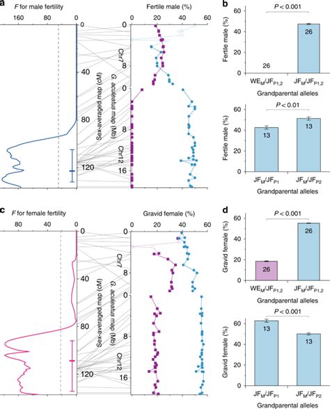 the evolution of sex determination associated with a chromosomal