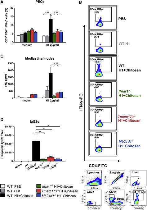 The Vaccine Adjuvant Chitosan Promotes Cellular Immunity Via Dna Sensor