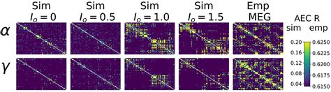 Frontiers A Connectome Based Corticothalamic Model Of State And