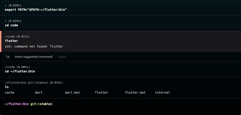 zsh flutter doesn t execute from the path stack overflow