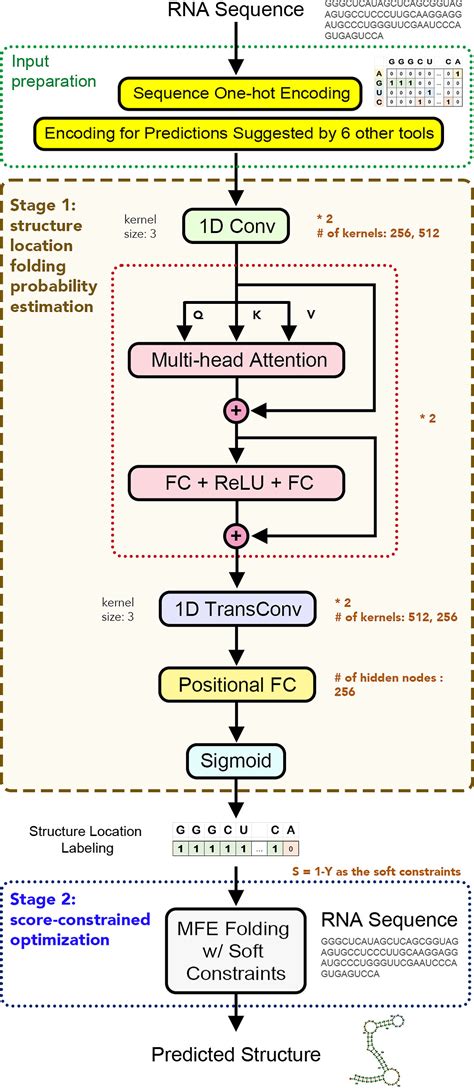 Debfold Computational Identification Of Rna Secondary Structures For