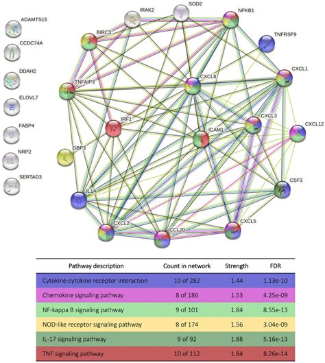 In Silico Enrichment Analysis Of 25 Proteins Encoded By Degs Of The Ccs