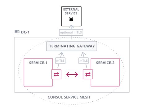 connect external services to consul with terminating gateways consul