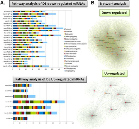 A Pathway Analysis Of Differentially Expressed Down Regulated N