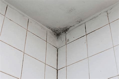 The Ultimate Guide To Removing Molds In Your Bathroom