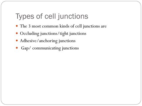 Solution Cell Junctions Types Of Cell Junction Gap Junction