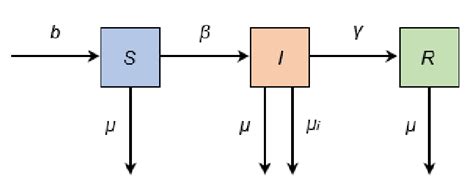 The Sir Model With Vital Dynamics Download Scientific Diagram