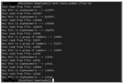 How To Use Regex In Linux Bash