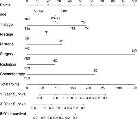 Nomogram Predicting 1 3 And 5 Year Os Of Patients With Icc Os