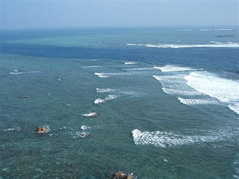 吸碳浮游植物爆量，mit：全球 56 海洋變綠 科技新報 Line Today