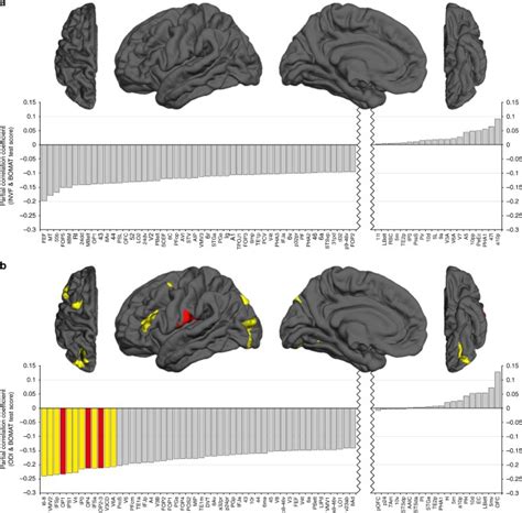 diffusion markers of dendritic density and arborization in gray matter