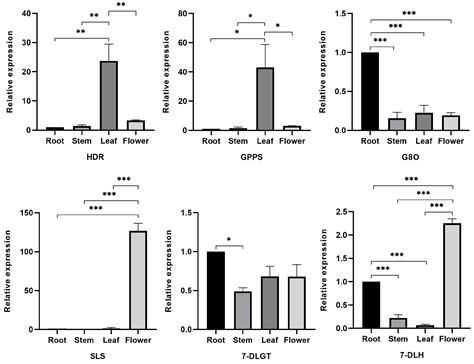 Genes Free Full Text A Comparative Transcriptomic With Uplc Q