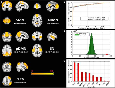 A The Five Functional Networks That Most Frequently Contributed To