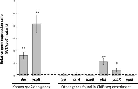 Rt Pcr Analysis The Relative Expression Ratio Between Wt And Rpos