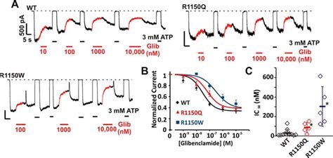 Cantu Syndrome Associated Sur2 Abcc9 Mutations In Distinct Structural