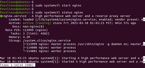 Serving Up Speed The Beginners Guide To Nginx On Ubuntu