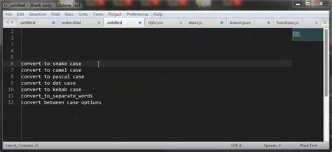 camelcase javascript