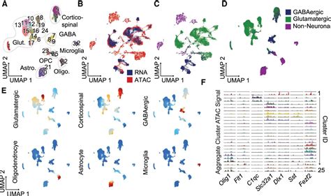 Atlas Scale Single Cell Chromatin Accessibility Using Nanowell Based
