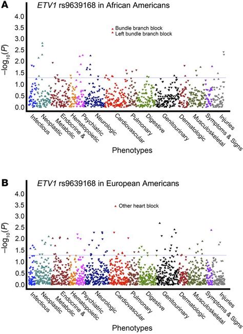 Jci Transcription Factor Etv1 Is Essential For Rapid Conduction In