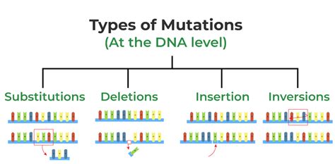 Notes For Cbse Class 12 Biology Chapter 4