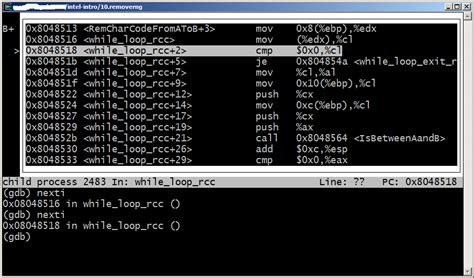 c seeing register contents in ascii in gdb stack overflow