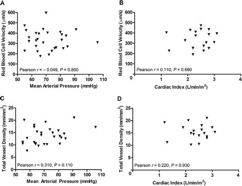 The Correlation Between Intestinal Microcirculation And Download