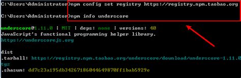 fix npm install requesterror connect etimedout error node js tutorial