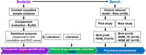 Immunopathology Of Terminal Complement Activation And Complement C5