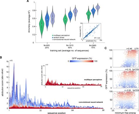 Accuracy And Interpretability Of Convolutional Neural Networks