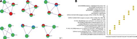 Frontiers Multiple Tissue And Multilevel Analysis On Differentially