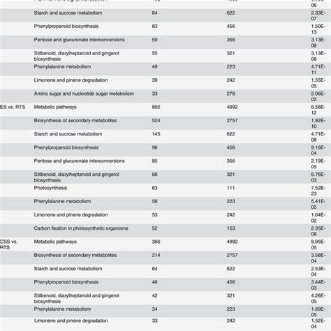 Pathway Enrichment Analysis Of Differentially Expressed Genes Top Ten