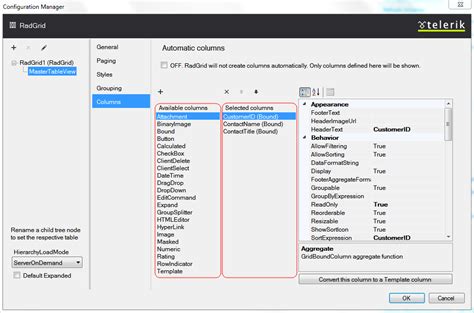 telerik web forms adding columns from design time radgrid telerik