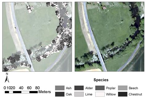 Water Free Full Text Mapping Riparian Vegetation Functions Using 3d
