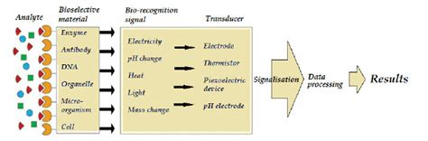 The Principle Of Biosensor Systems Download Scientific Diagram