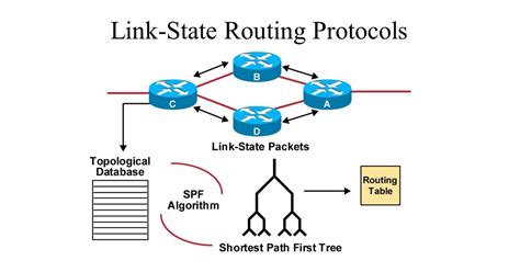 why does distance vector routing scale better than link state routing