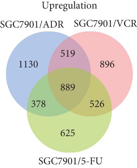 Identification Of Differentially Expressed Genes Between Chemoresistant