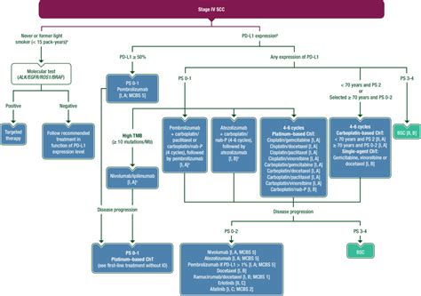 Correction To “metastatic Non Small Cell Lung Cancer Esmo Clinical