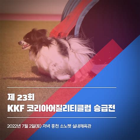 [kac] 2022 07 02 제 22회 Kkf 코리아어질리티클럽 어질리티 챔피언쉽 Korea Agility Magazine