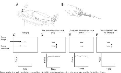 Figure 1 From Neural Basis For The Processes That Underlie Visually