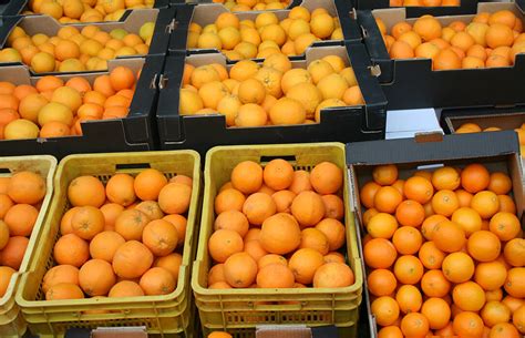 El Precio En Origen De Los Cítricos Se Disparó Un 182 En Abril Durante