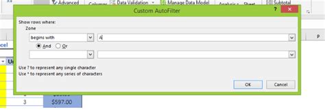 how to use autofilter in excel excelchat excelchat