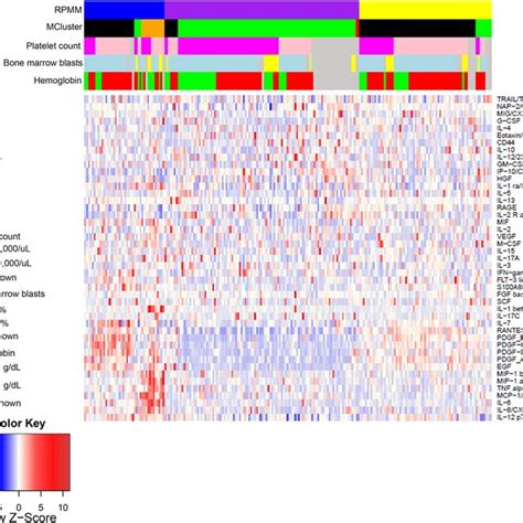 Unsupervised Cluster Analysis Identifies Three Groups Driven By