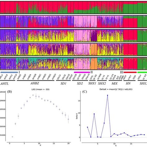 A Estimated Population Structure And Clustering Of The 901 P Ostii
