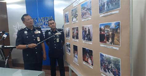 419 Individu Termasuk 17 Wanita Ditahan Dalam Op Tapis Khas Di Pahang