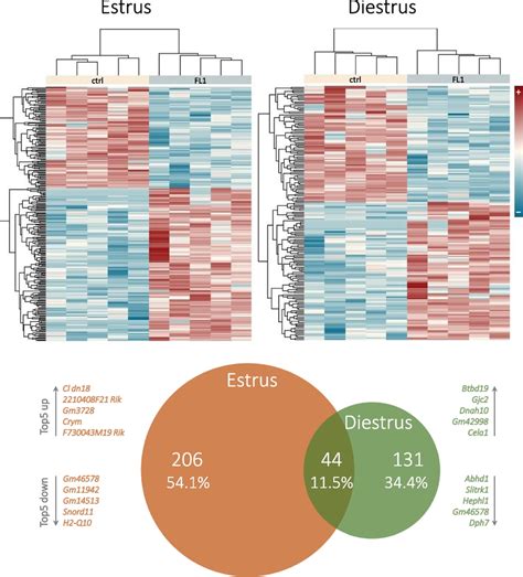 Hierarchical Clustering Dendrograms Of Differentially Expressed Genes
