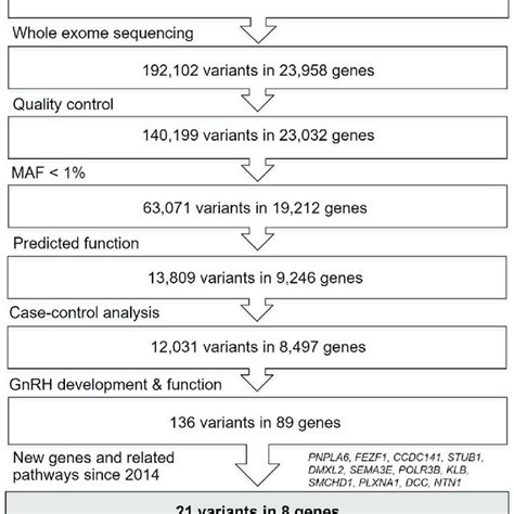 Whole Exome Sequencing Analysis Pipeline Analytic Pipeline For Genetic